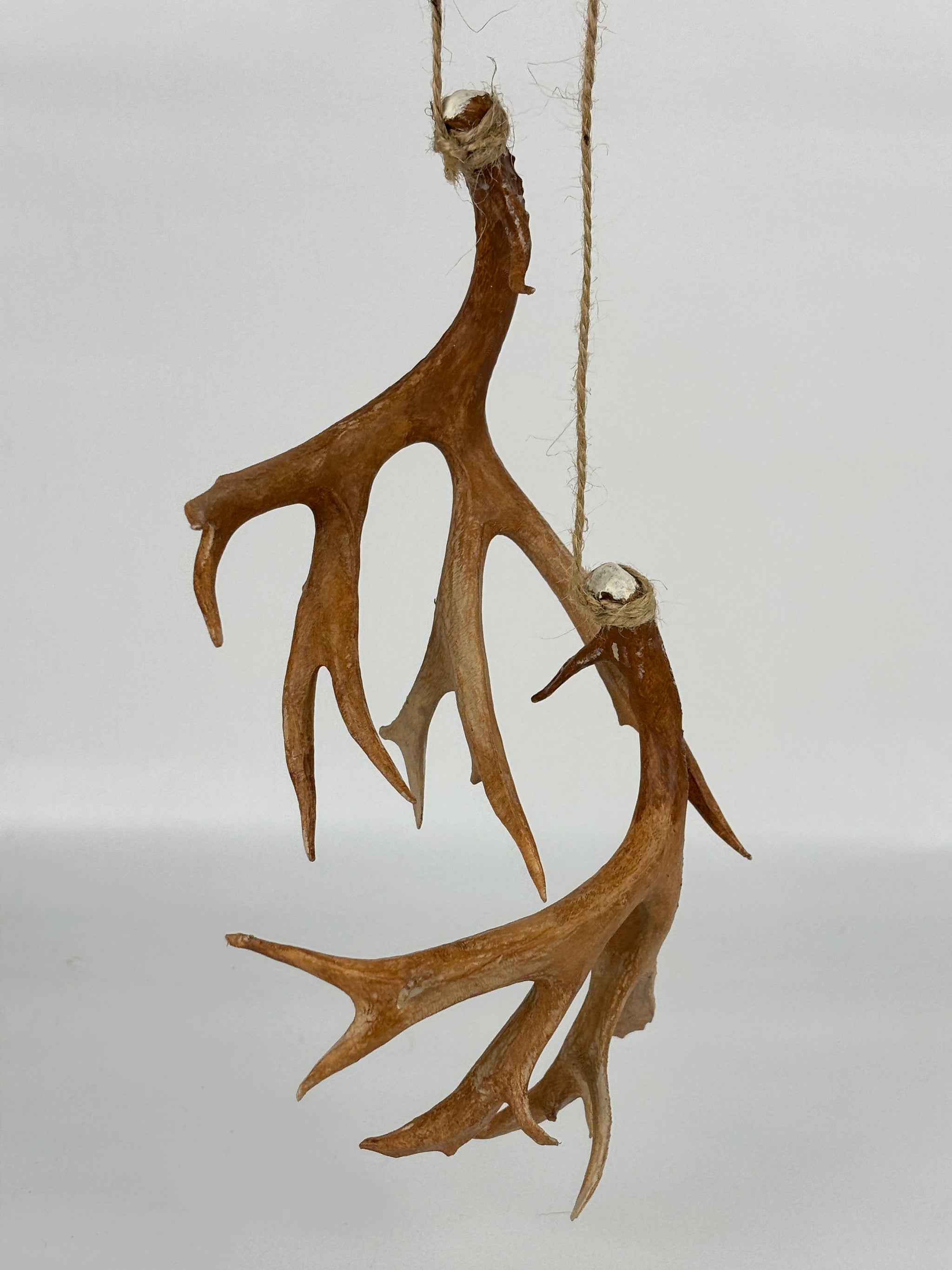 Custom Mini Painted Rack (ANY SPECIES) – Raccoon Rigs