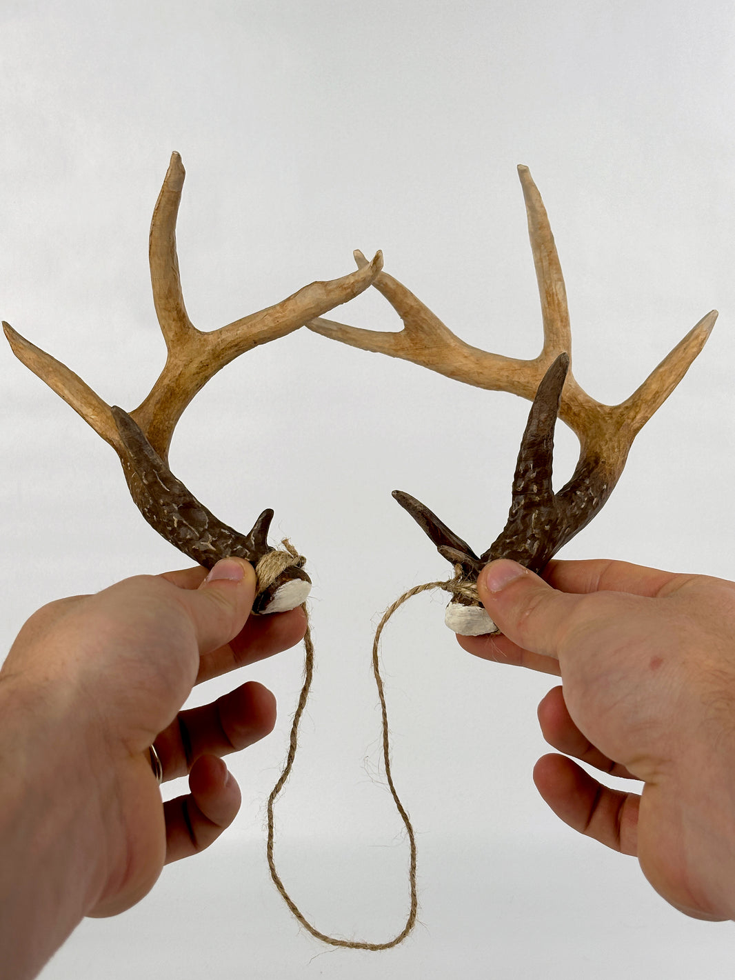 Replica Trophy Mounts | Rutt's Mini Mounts – Raccoon Rigs