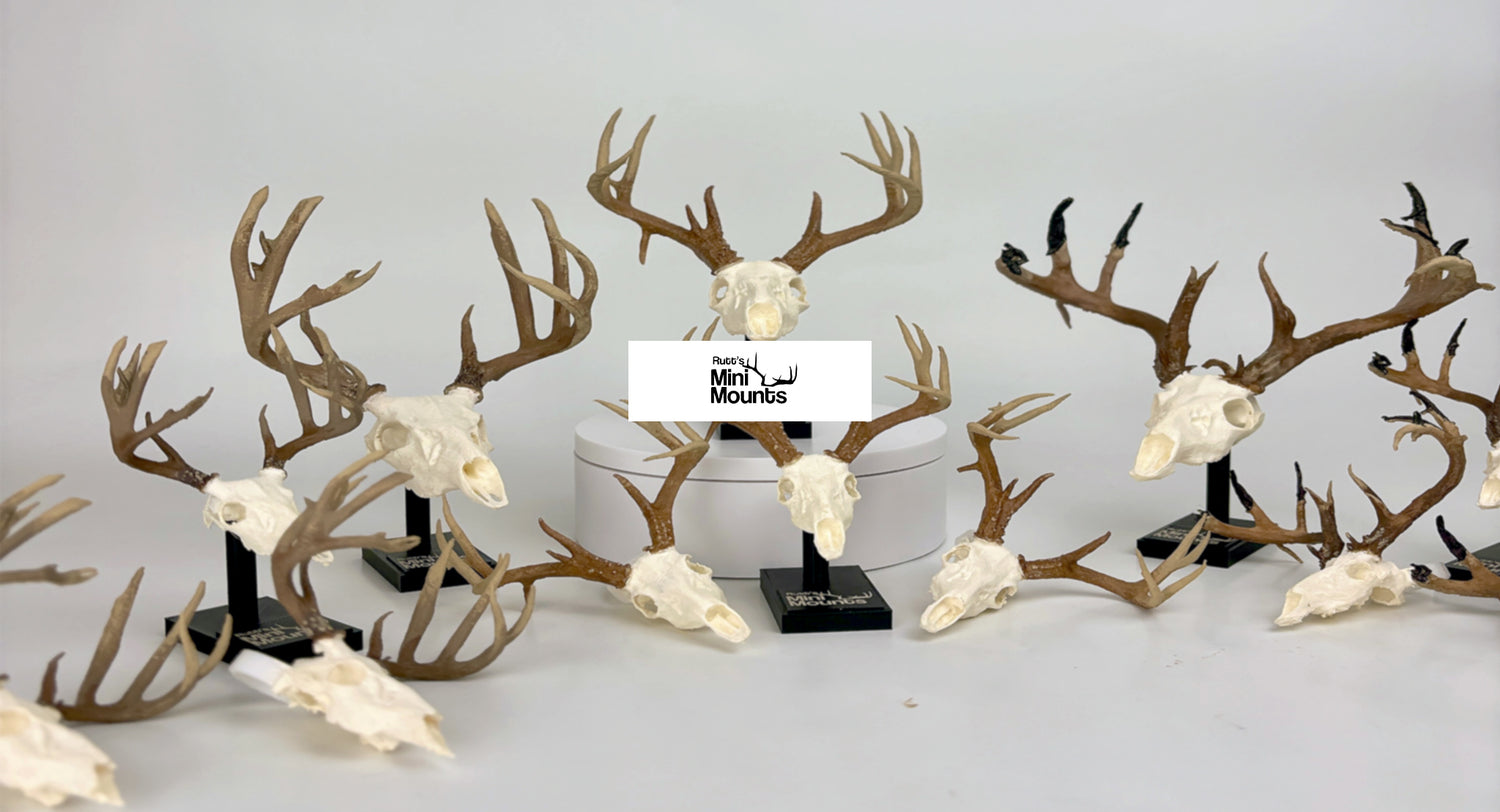 Replica Trophy Mounts | Rutt's Mini Mounts – Raccoon Rigs