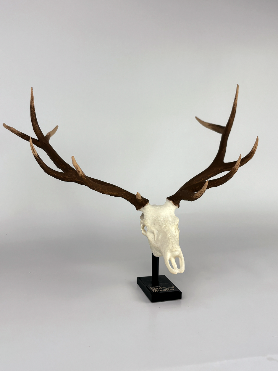 Replica Trophy Mounts | Rutt's Mini Mounts – Raccoon Rigs