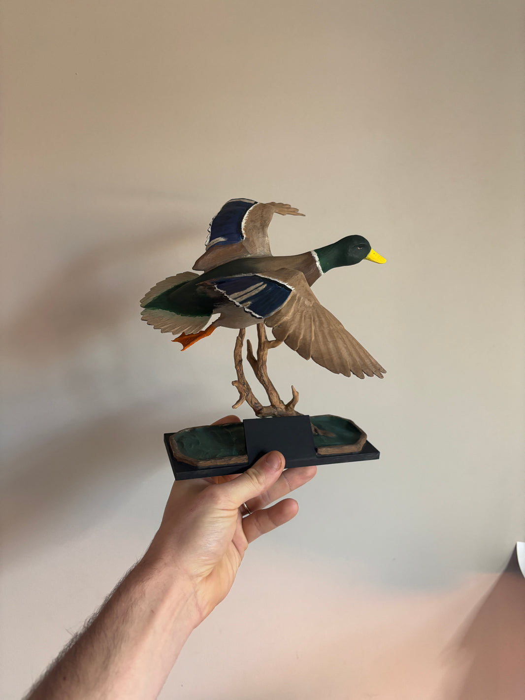 Replica Trophy Mounts | Rutt's Mini Mounts – Raccoon Rigs