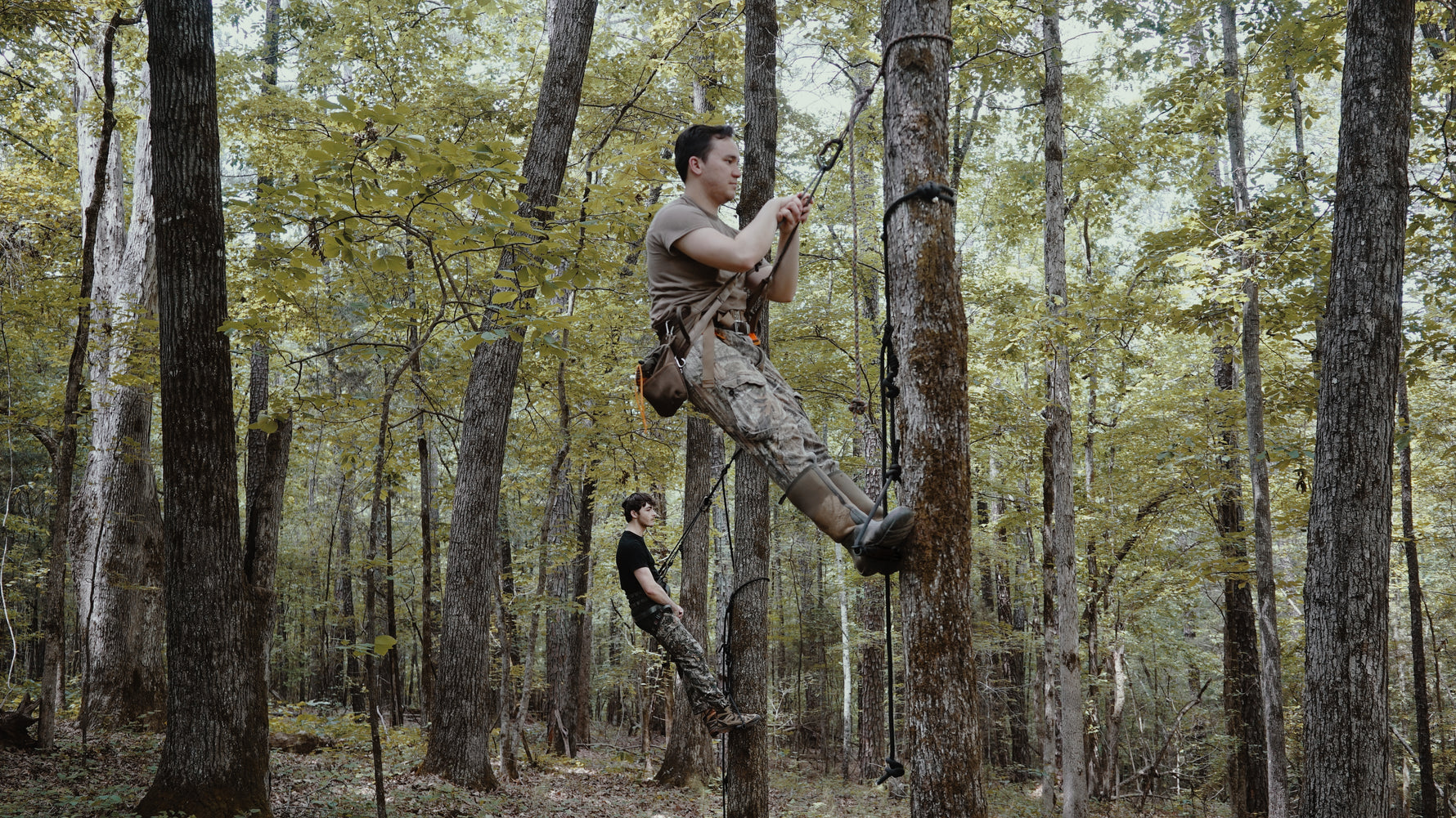 Raccoon Rigs | The BANDIT Stealth Climber™