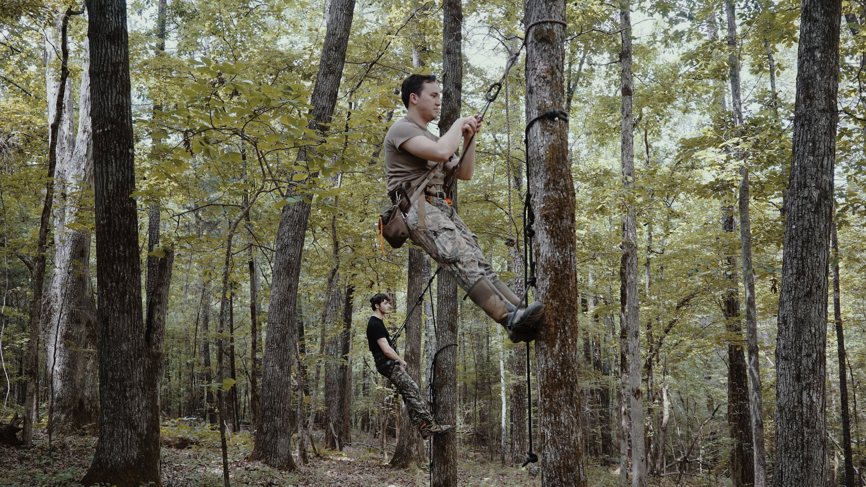 Raccoon Rigs | The BANDIT Stealth Climber™