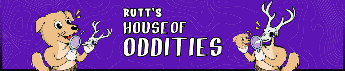 Rutt's House of Oddities – Raccoon Rigs