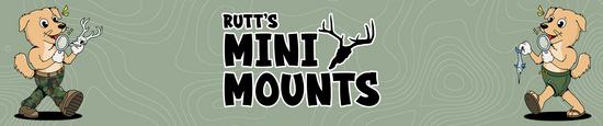 Replica Trophy Mounts | Rutt's Mini Mounts – Raccoon Rigs